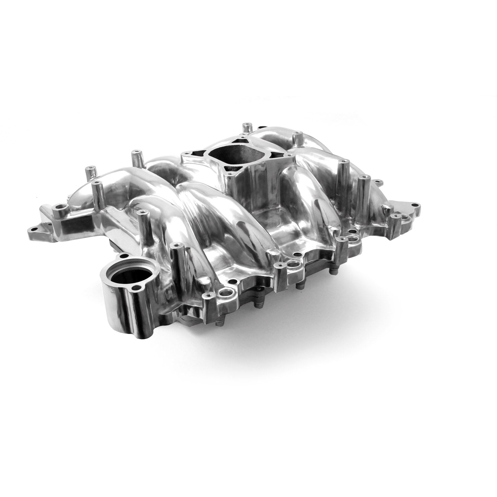 Ford 4.6L EFI 1999-04 Mustang Qualifier Intake Manifold Polished ...